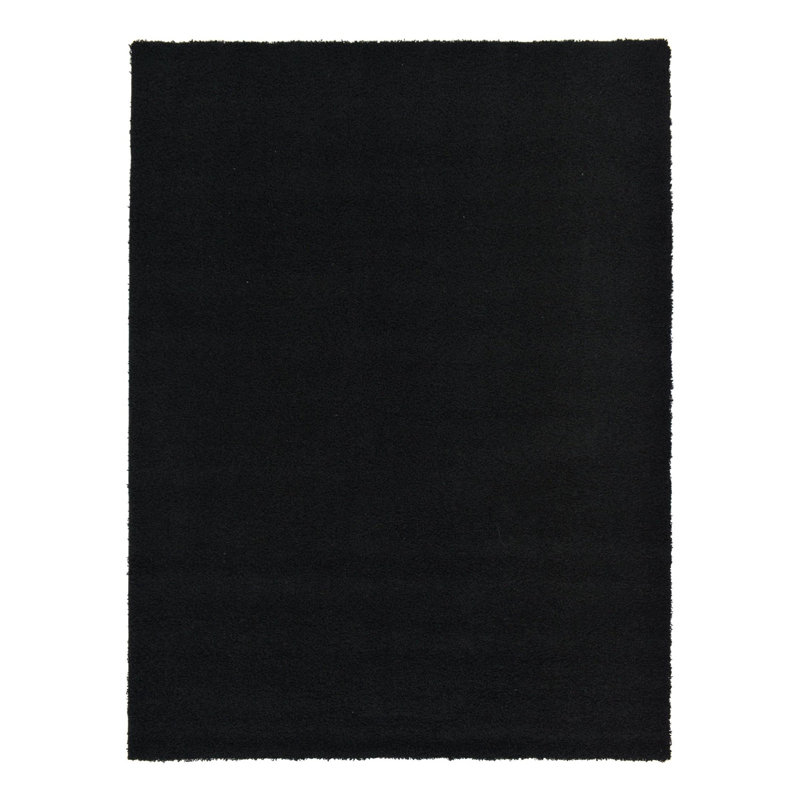 Ebern Designs Santoshi Performance Jet Black Rug & Reviews | Wayfair