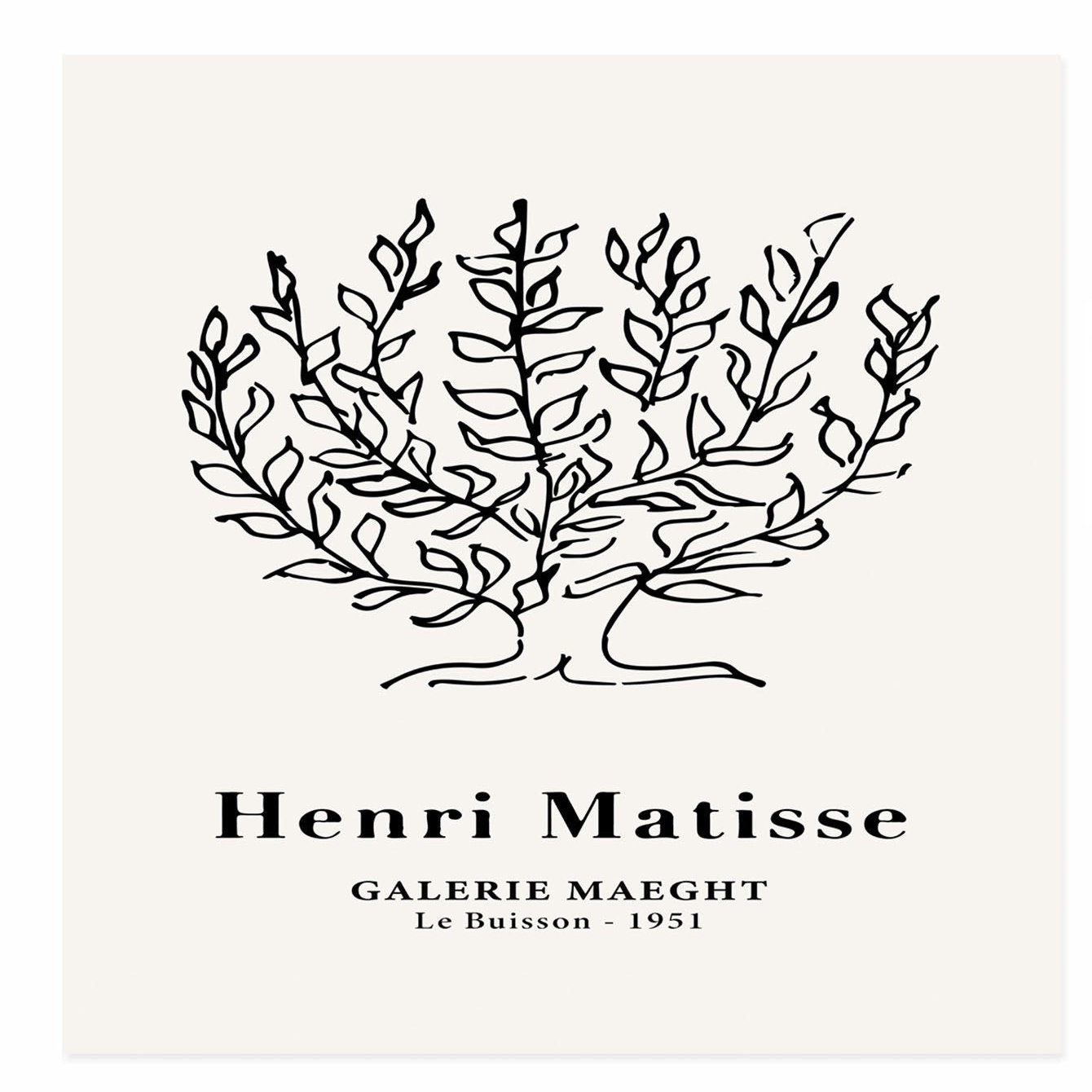 Vault W Artwork Botanical Henri Matisse Botanical Modern Unframed Art ...