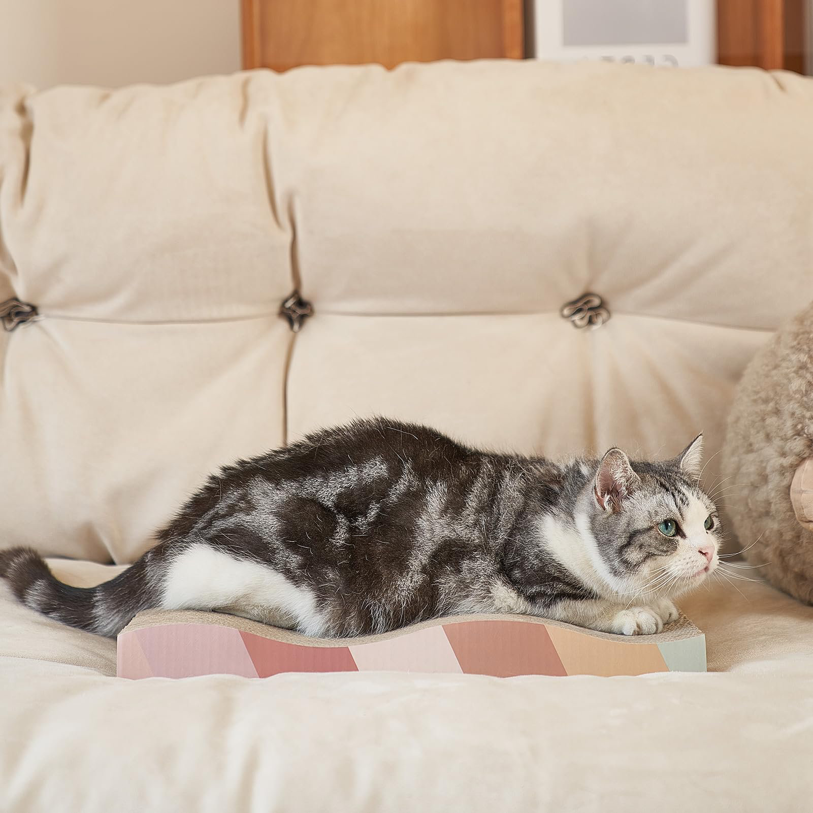 Tucker Murphy Pet™ 5-Pack Of Reversible Cardboard Scratching Posts With ...