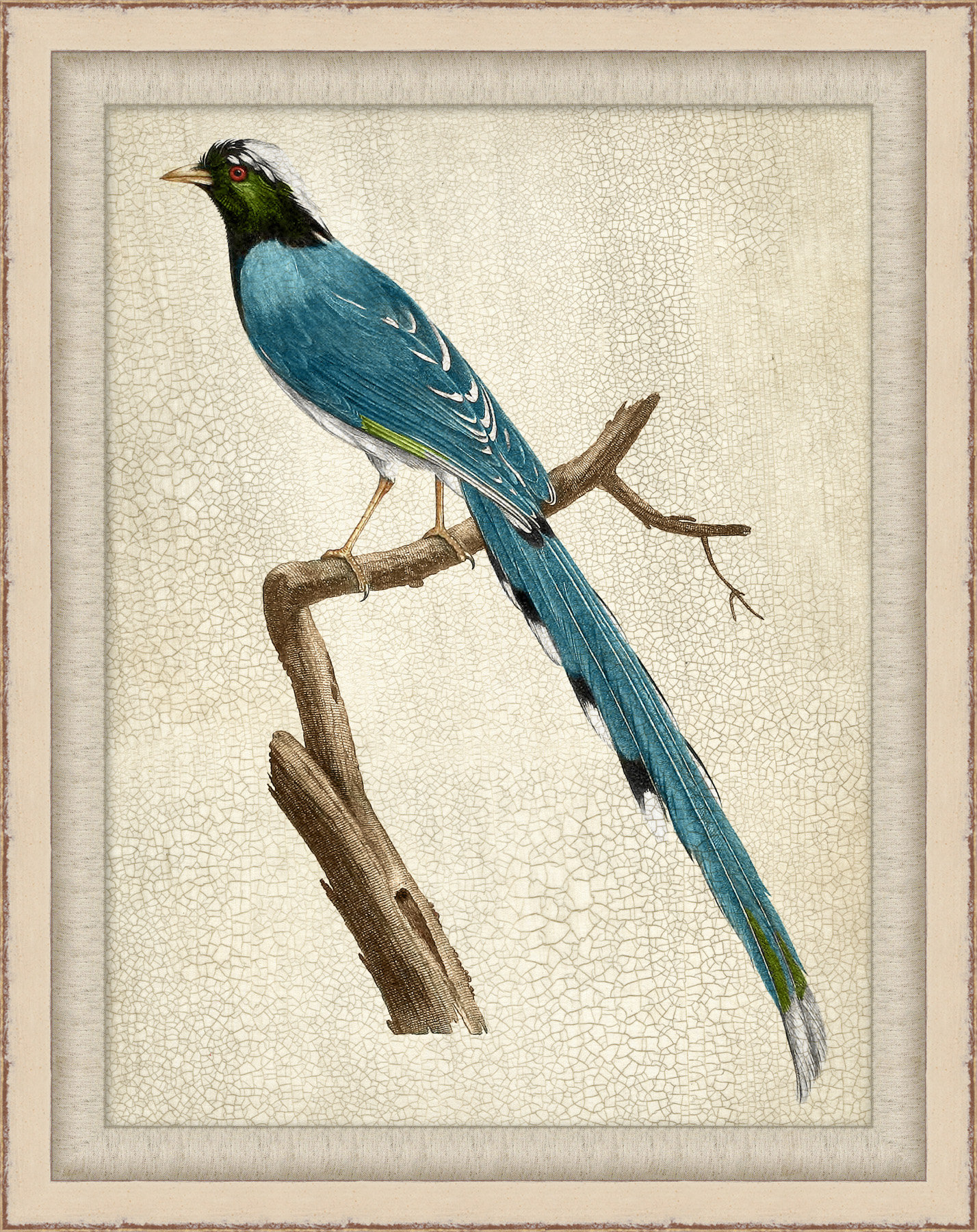 Wendover Art Group Blue Birds 6 - Picture Frame Painting on Paper | Wayfair