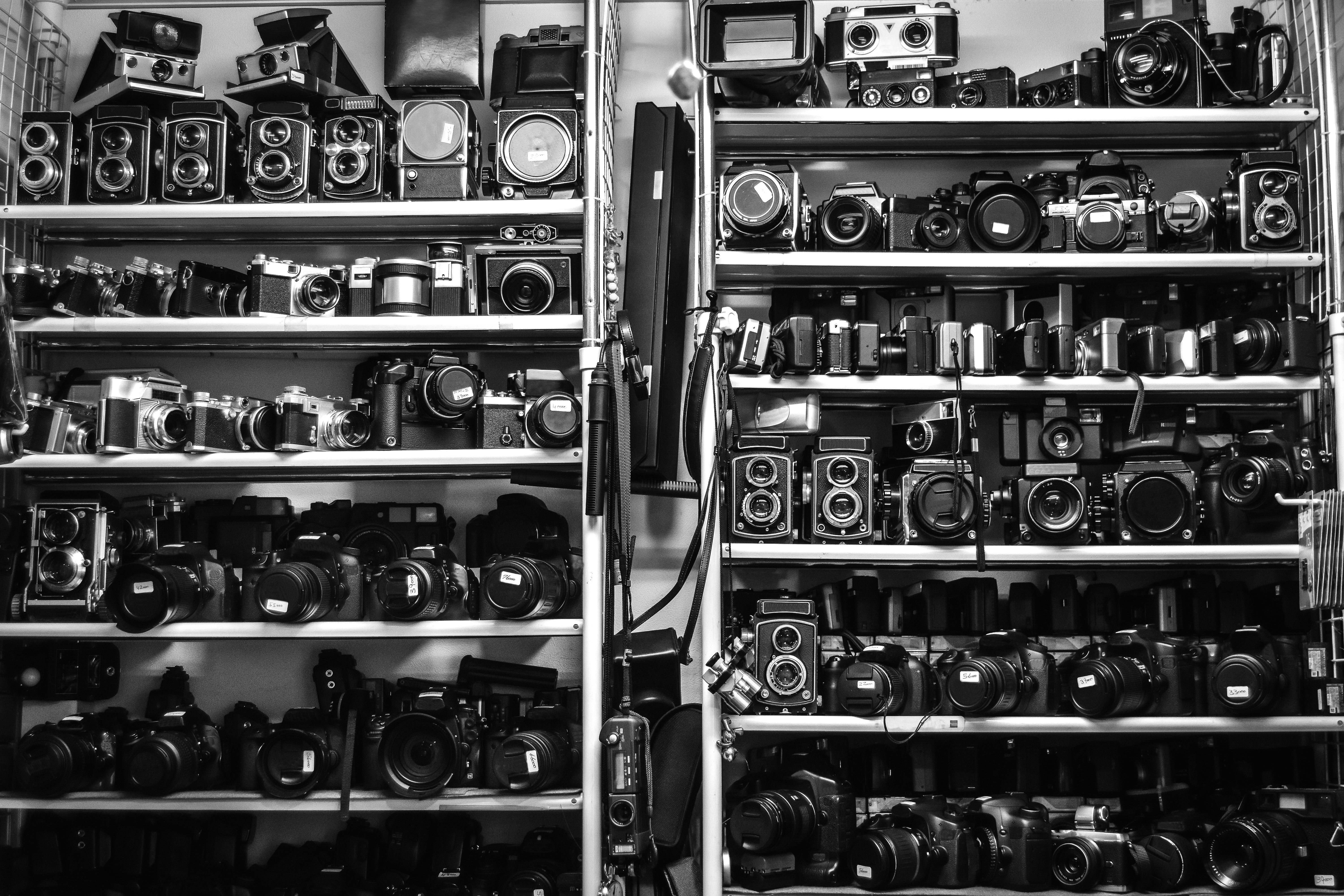 Ebern Designs Second-Hand Old Photo Cameras | Wayfair.co.uk
