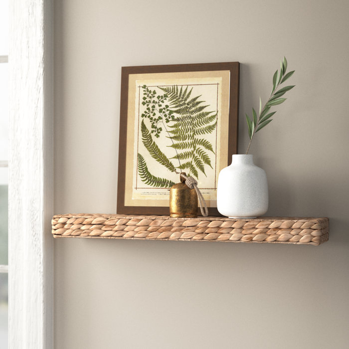 Birch Lane™ Bowen Water Hyacinths Floating Shelf & Reviews | Wayfair