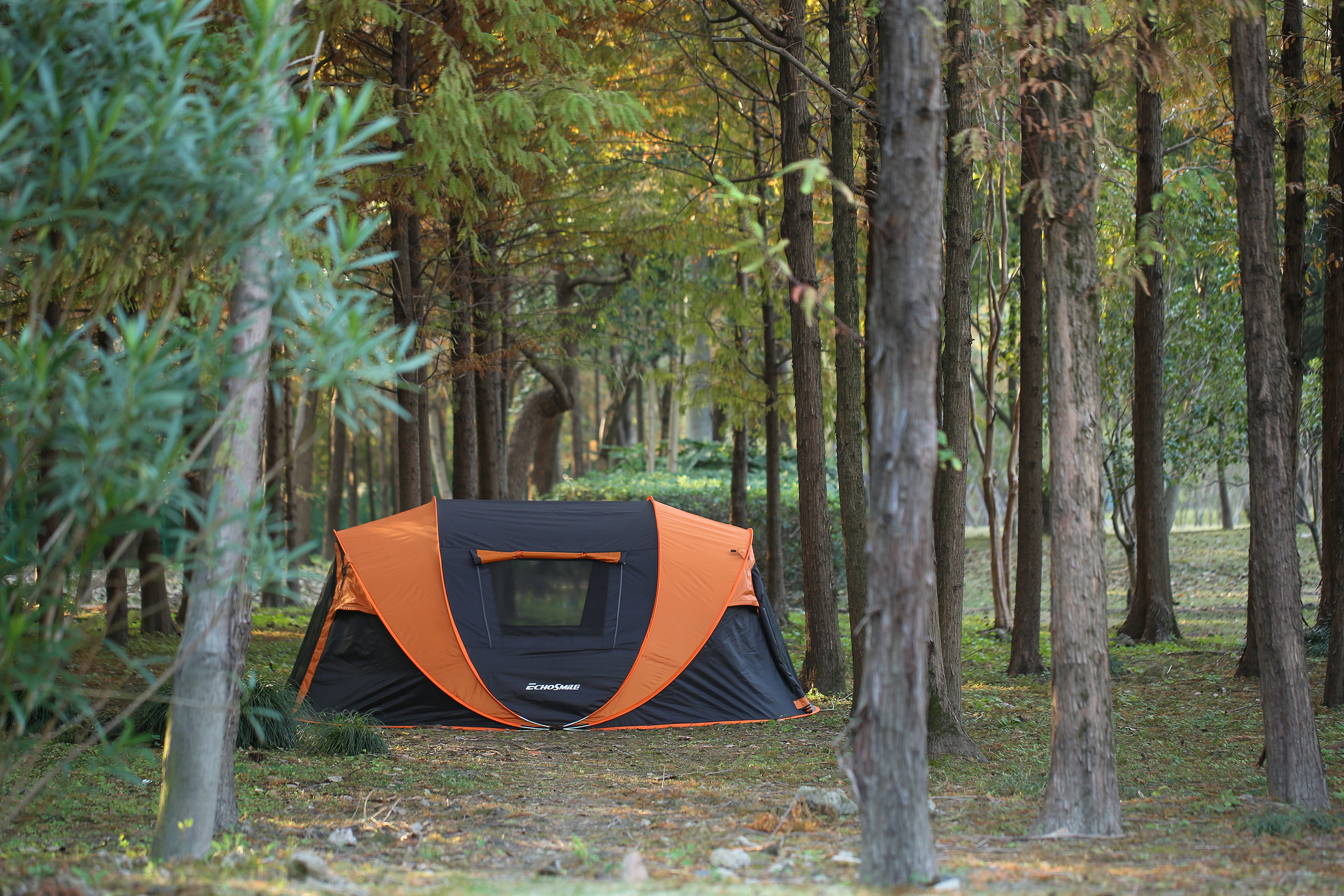 EchoSmile 8 Person Tent with Carry Bag | Wayfair