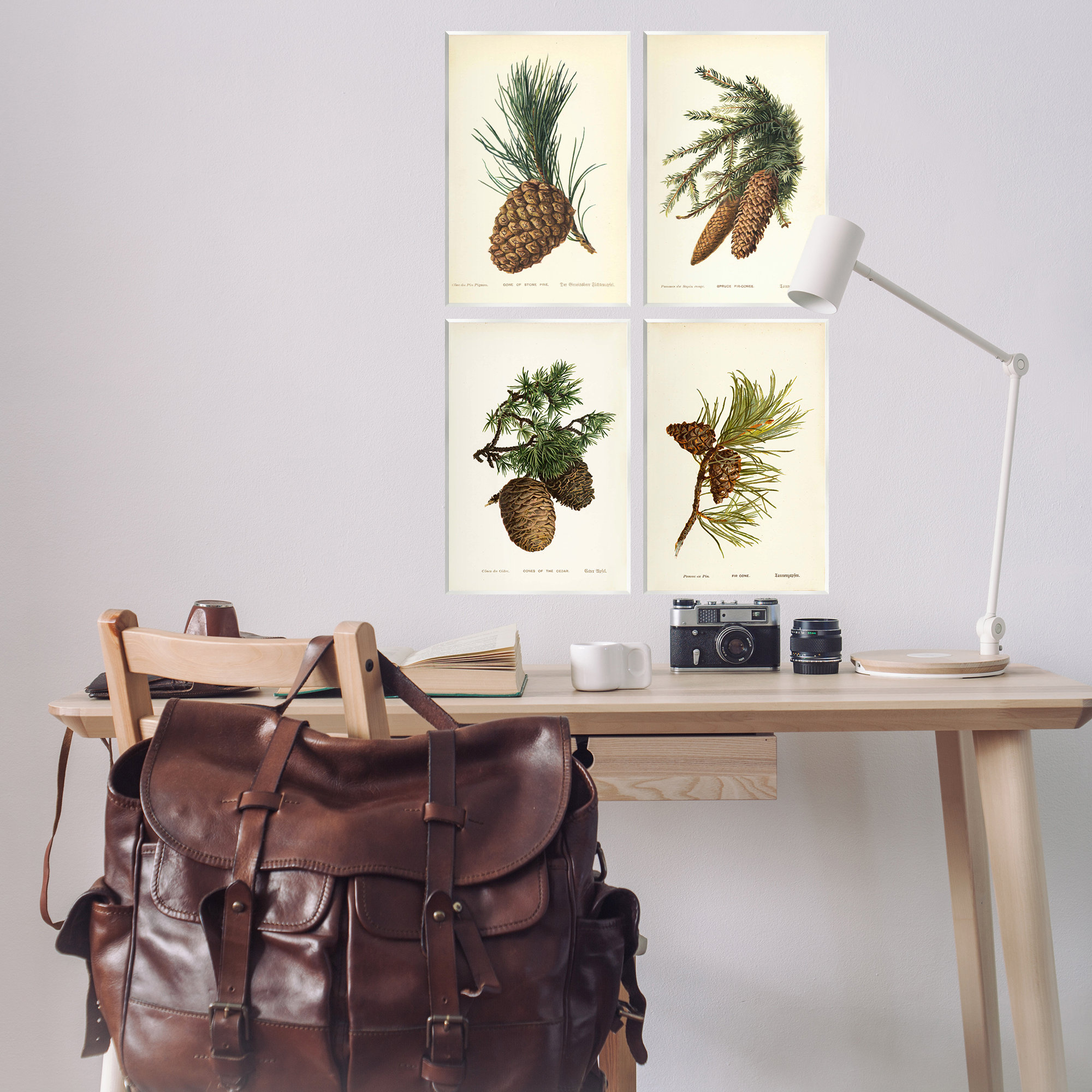 Ophelia & Co. Pinecone Latin Studies Wall Plaque Art Set by Tina ...