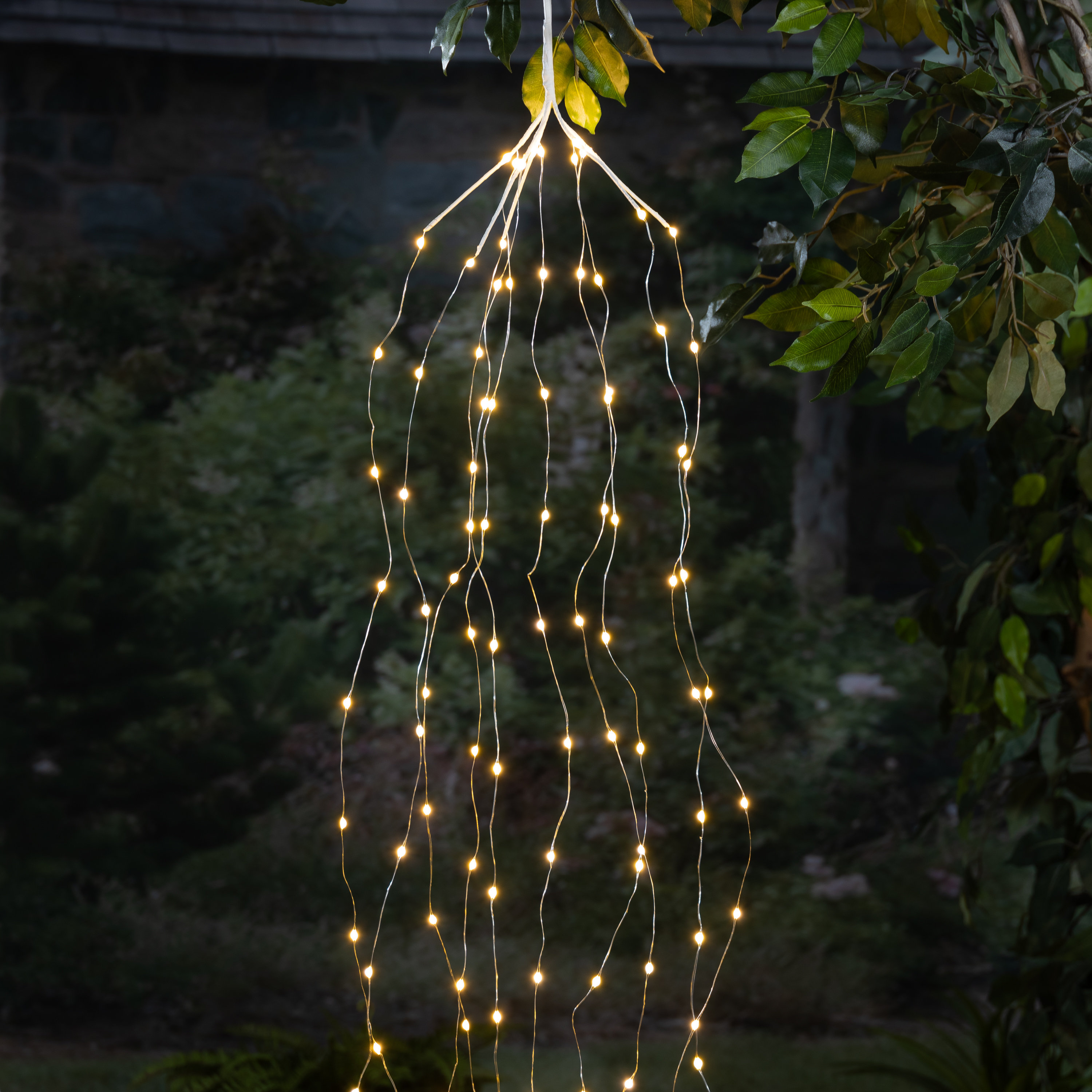 Arlmont & Co. 6 Foot Long Weeping Micro Led Light String, Electric ...