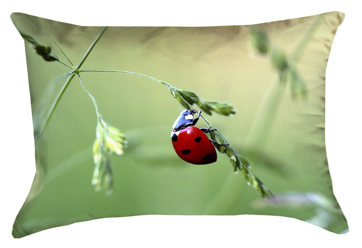 ArtVerse Myriam Ladybug Lumbar Pillow | Wayfair