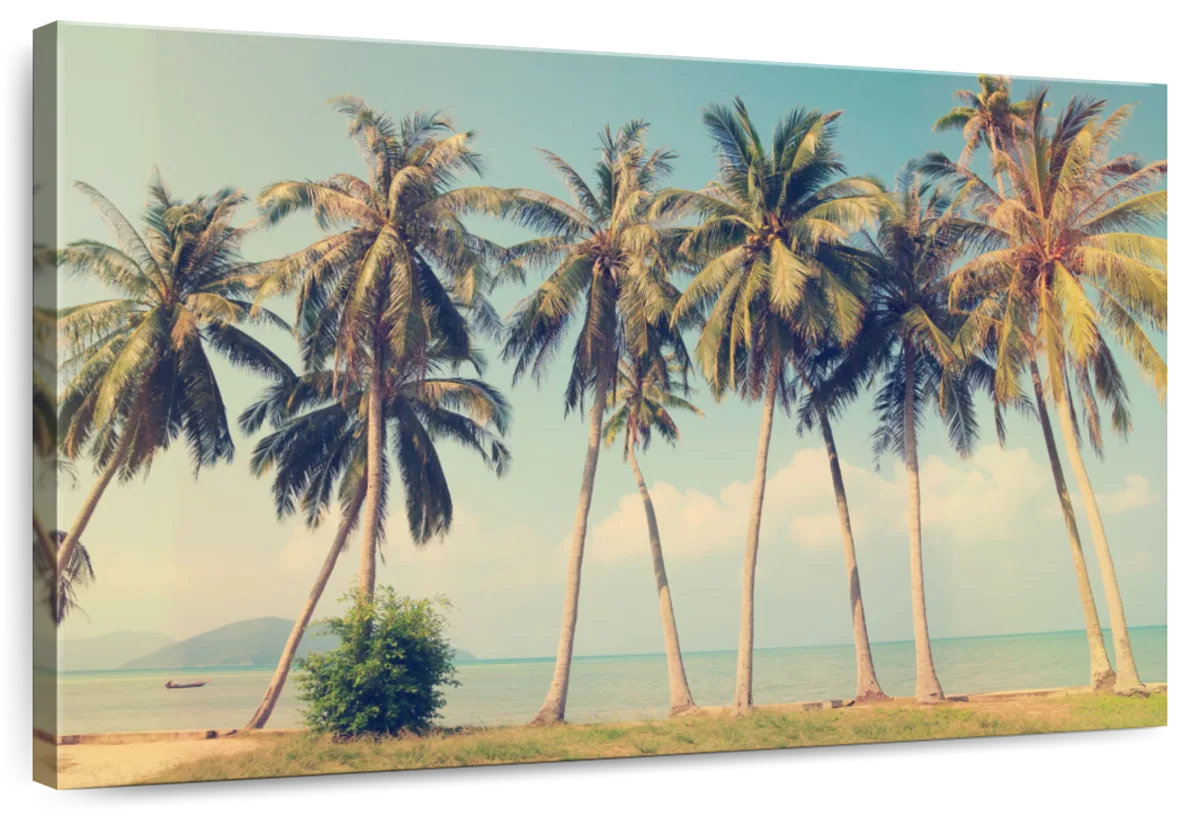 Beachcrest Home™ Gillard Retro Palm Trees | Wayfair