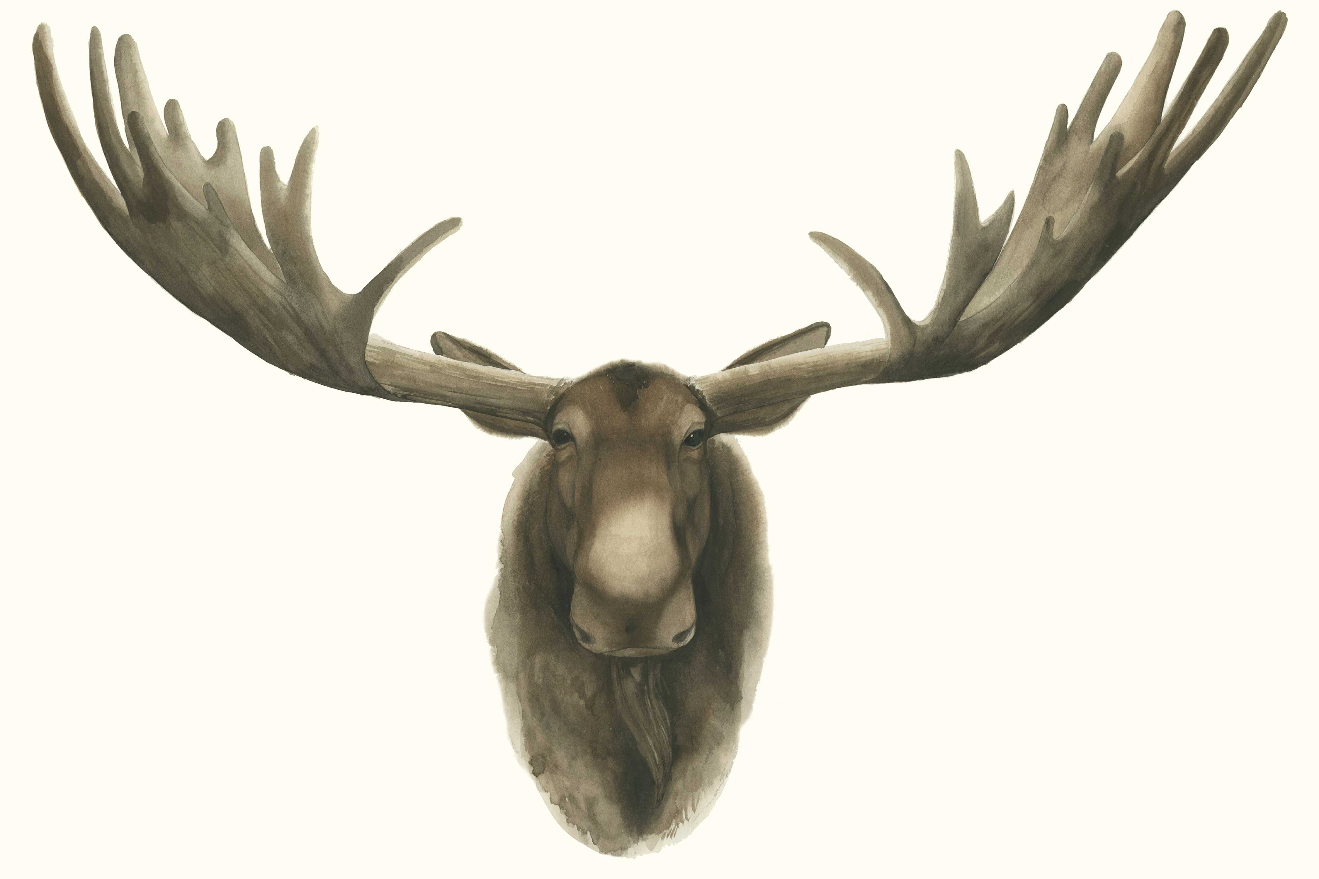 Loon Peak® Moose Bust On Canvas by Grace Popp Painting | Wayfair