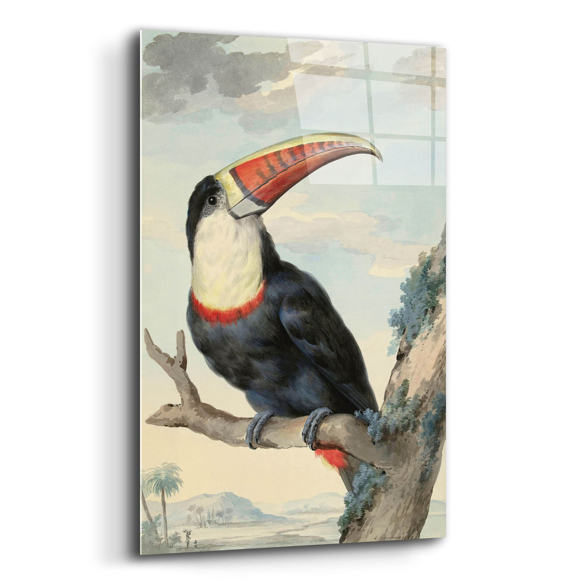 Bay Isle Home Red-Billed Toucan, C. 1748 On Plastic/Acrylic by Aert ...