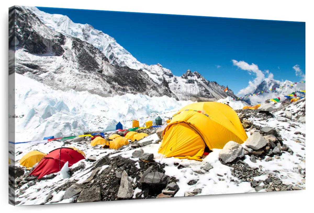 Elephant Stock Mount Everest Base Camp Tents - Wayfair Canada