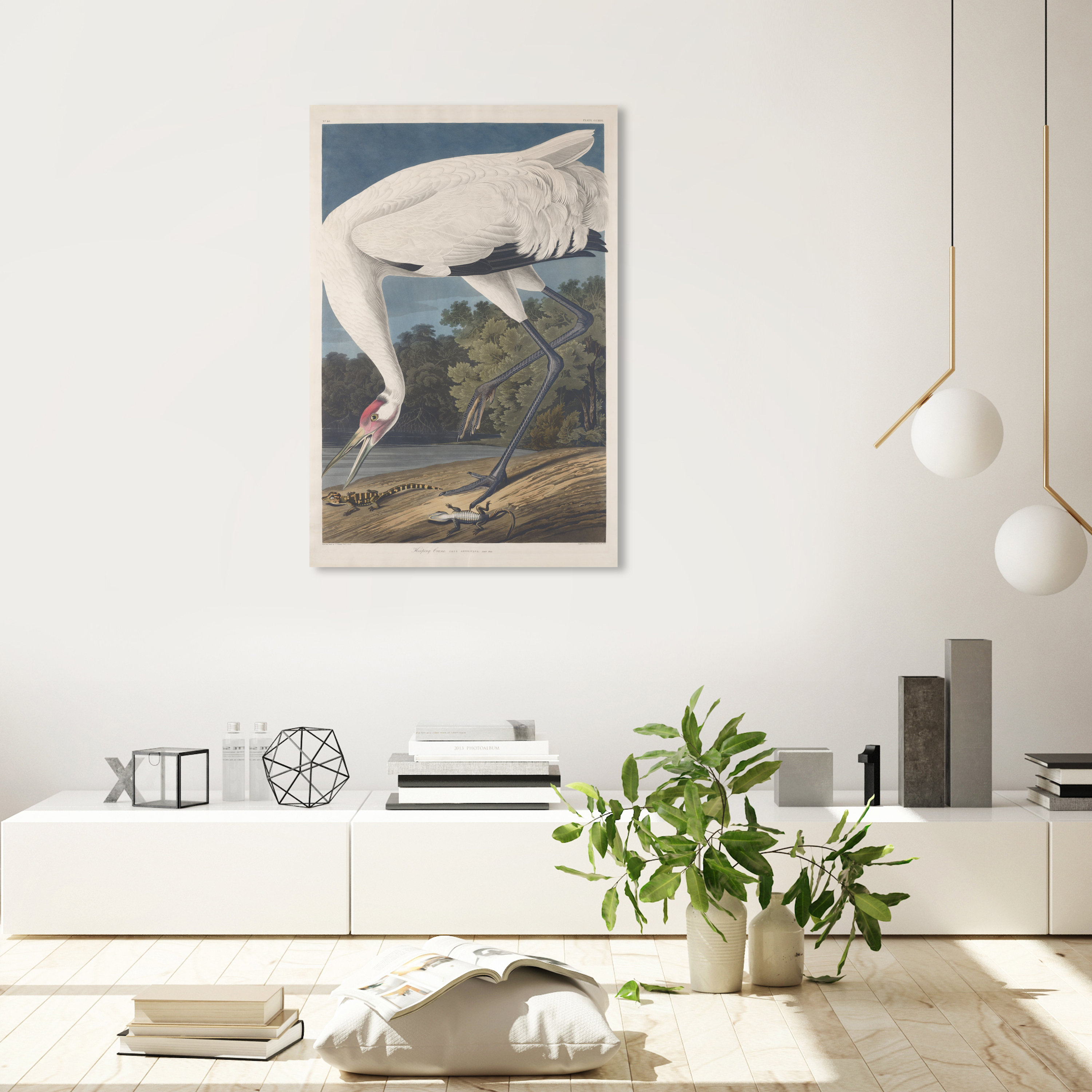 Oliver Gal Prints Hooping Crane by Robert Havell - Graphic Art on ...