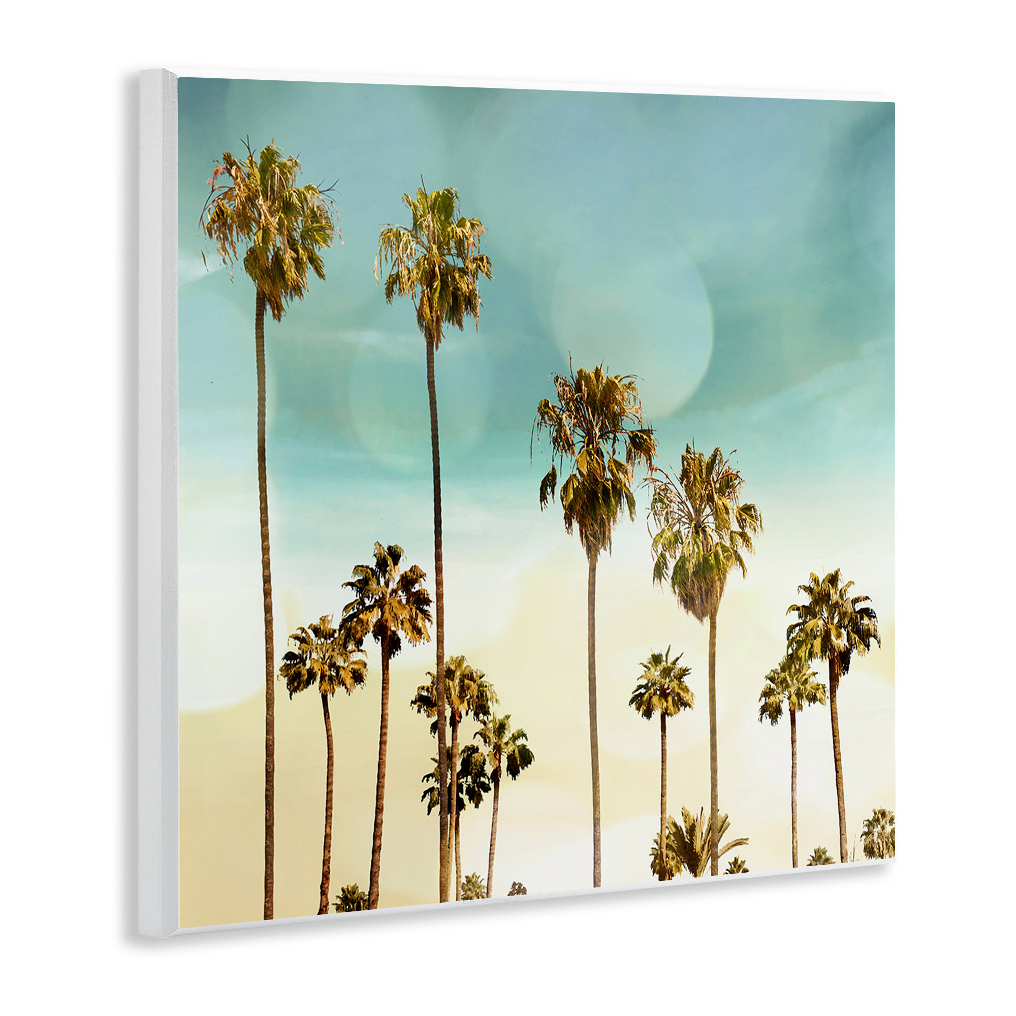 Breakwater Bay Palm Tree Beach Sky Wall Plaque Art by Devon Davis | Wayfair