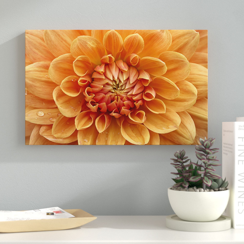 Wade Logan® " Orange Dahlia " by Cora Niele on Canvas & Reviews | Wayfair