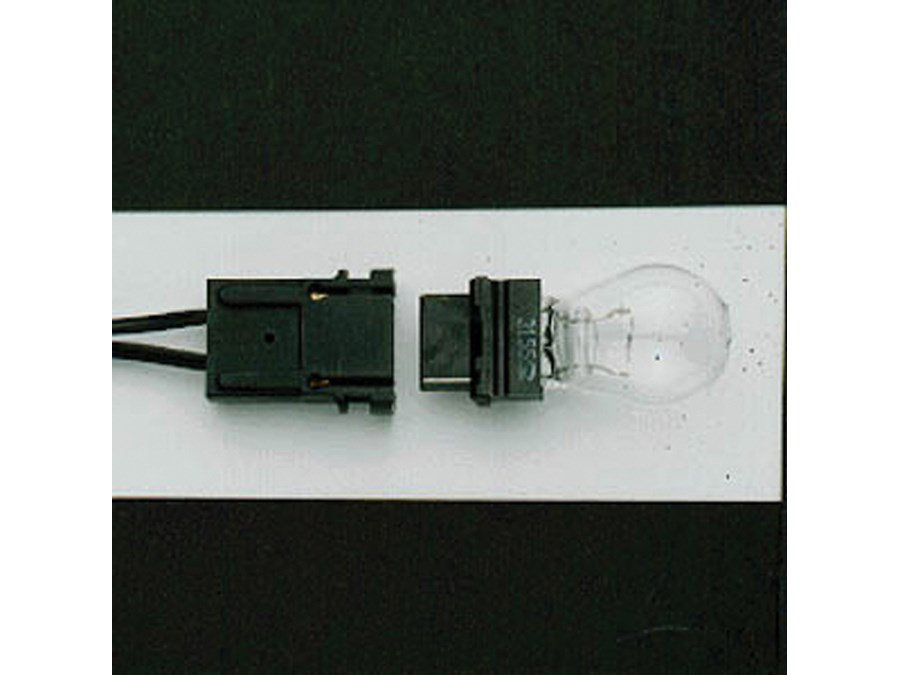Symple Stuff Loane Incandescent Light Bulb & Reviews | Wayfair