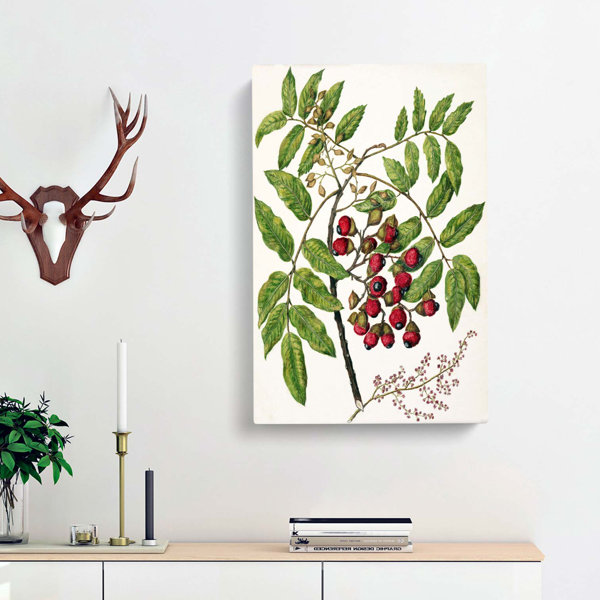 East Urban Home Titoki Flowers by Sarah Featon - Wrapped Canvas ...