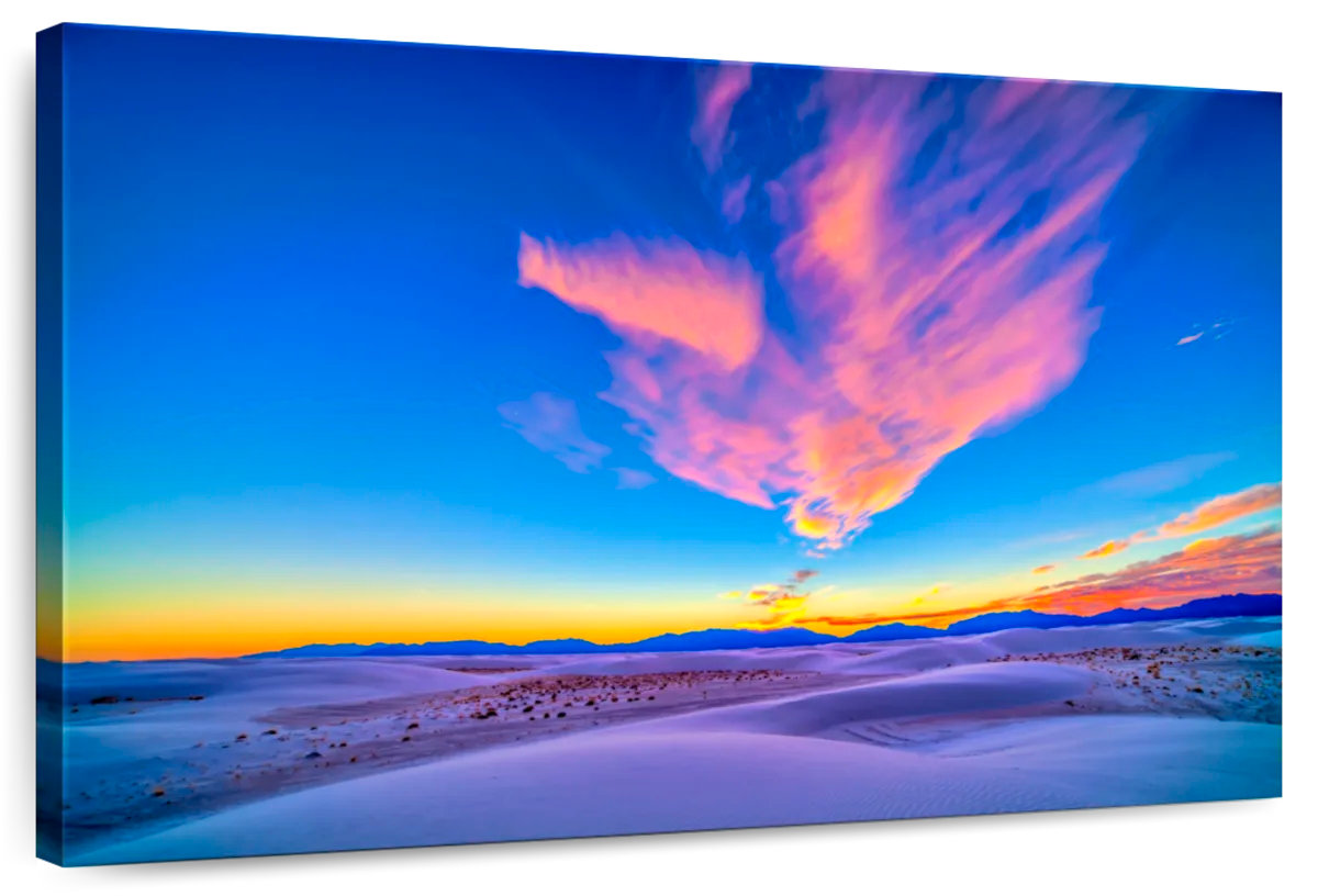 Elephant Stock White Sands Sunset Colors | Wayfair