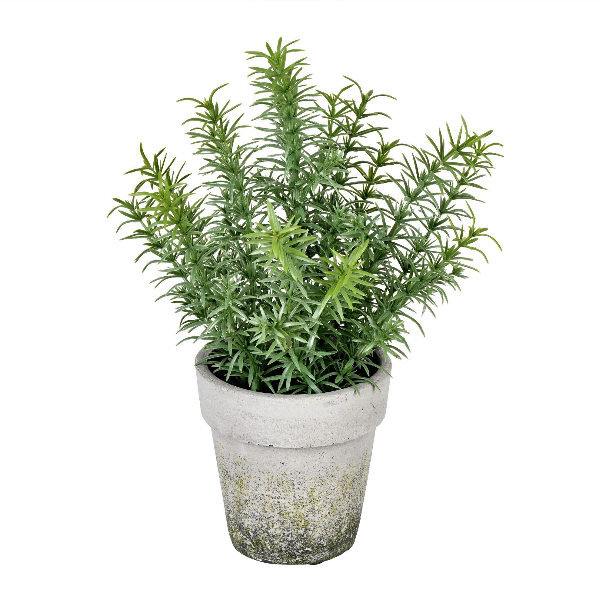 Latitude Run® Artificial Plant in Pot - Wayfair Canada