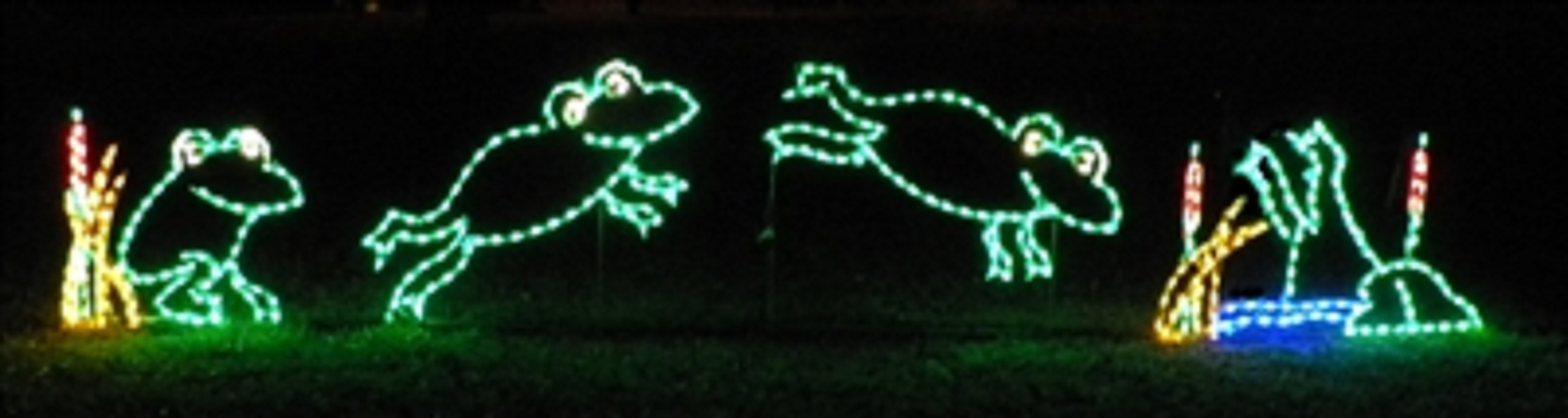 Lori's Lighted D'Lites Animated Jumping Frogs Set Holiday Lighted ...