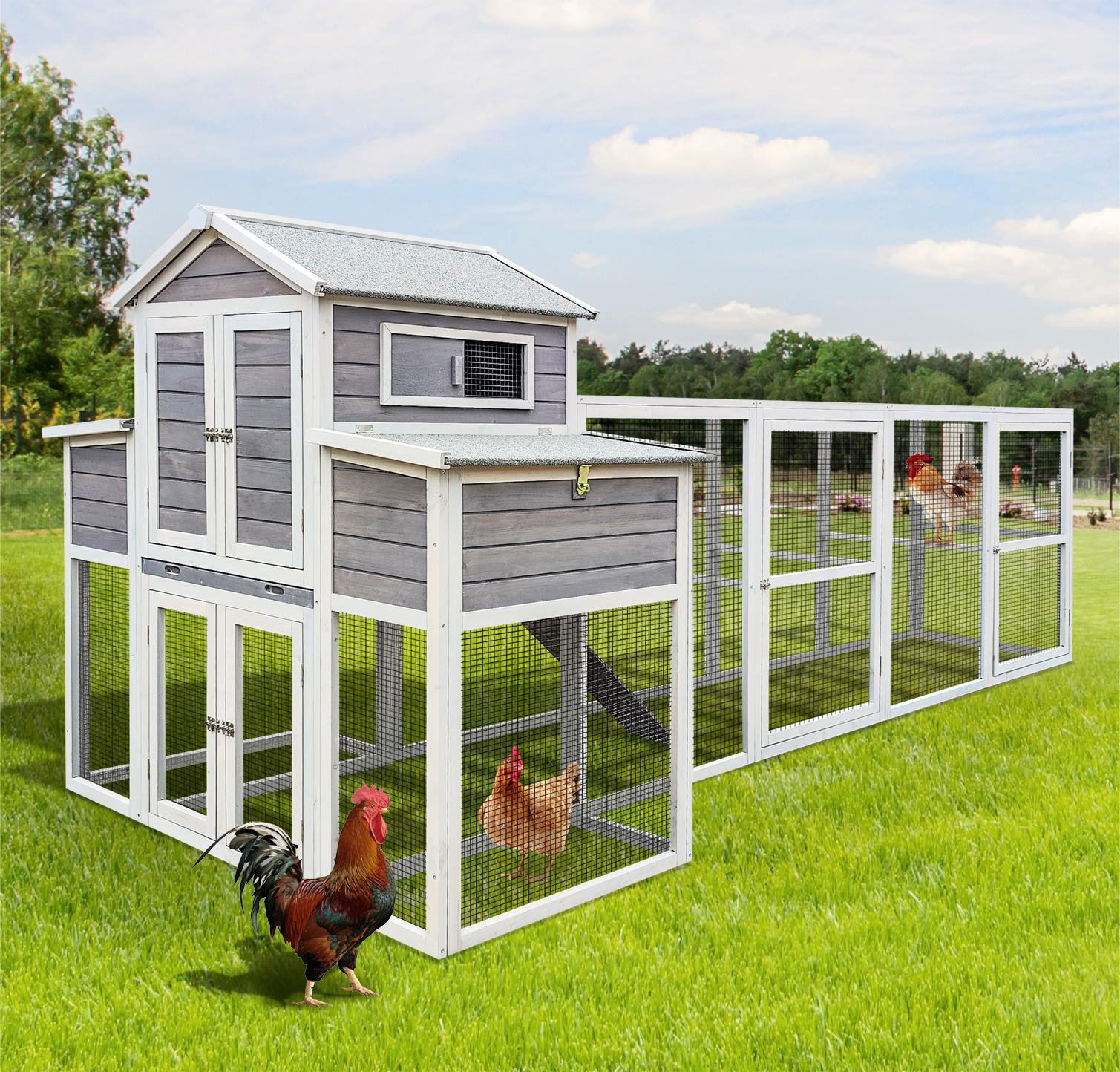 Tucker Murphy Pet™ Endrick Square Hen Chicken Coop with Chicken Run and ...