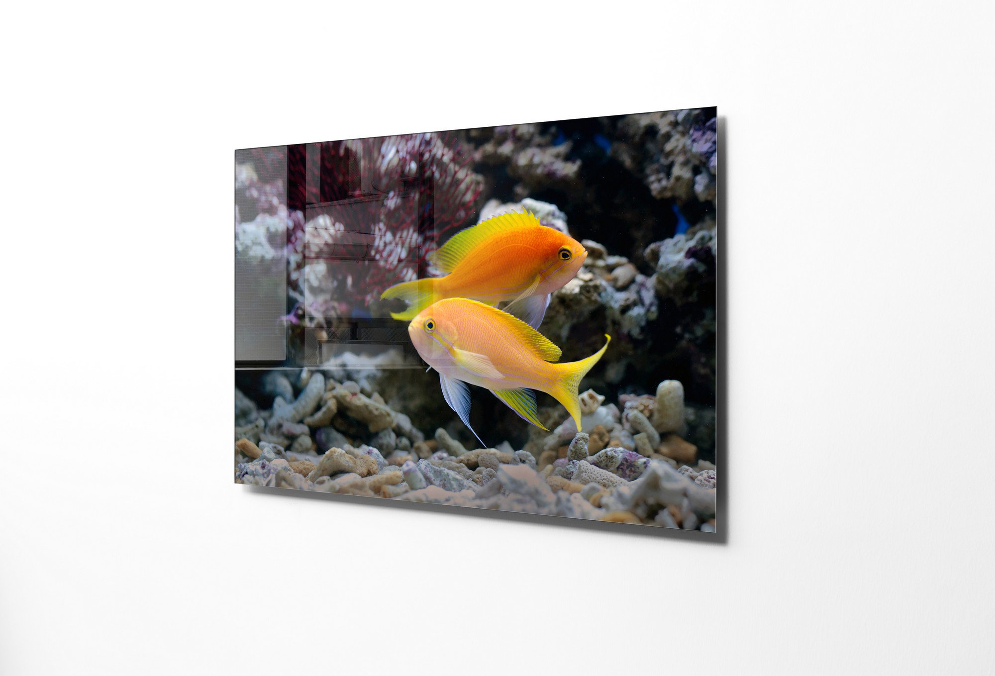 Ivy Bronx Glassen 2 | Wayfair