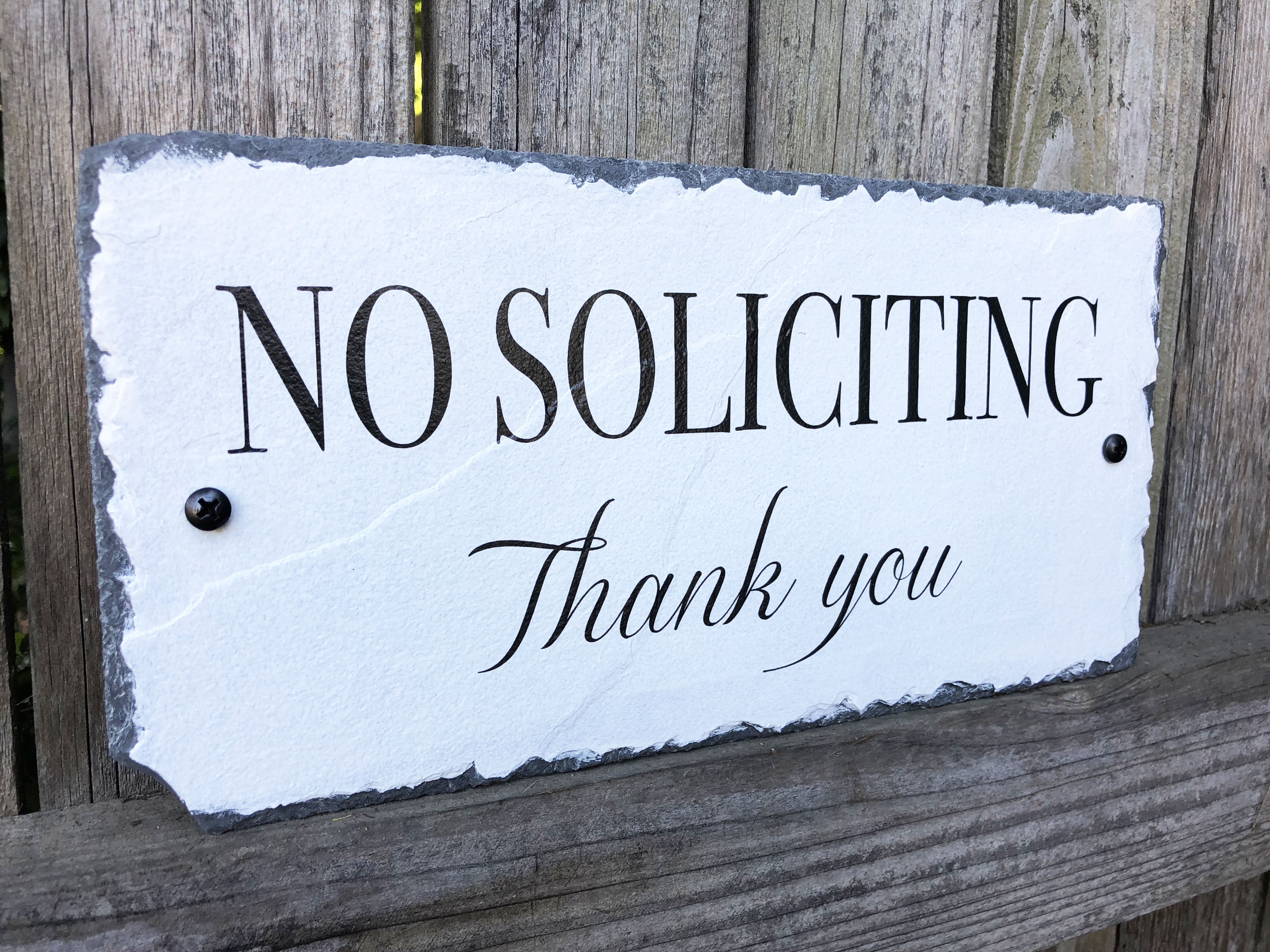 Sassy Squirrel Ink No Soliciting Sign & Reviews | Wayfair