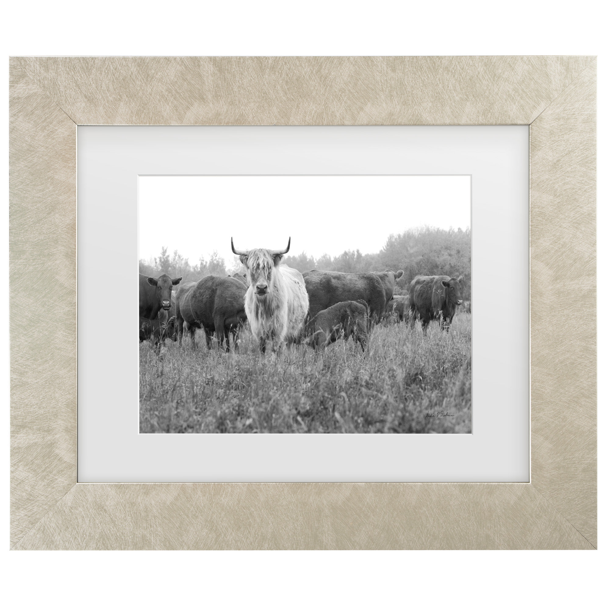 Trademark Canvas Art On The Ranch III Framed On Canvas by Andre Eichman ...