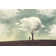 Marlow Home Co. Clouds Over The Tree by Francescoch - Wrapped Canvas ...