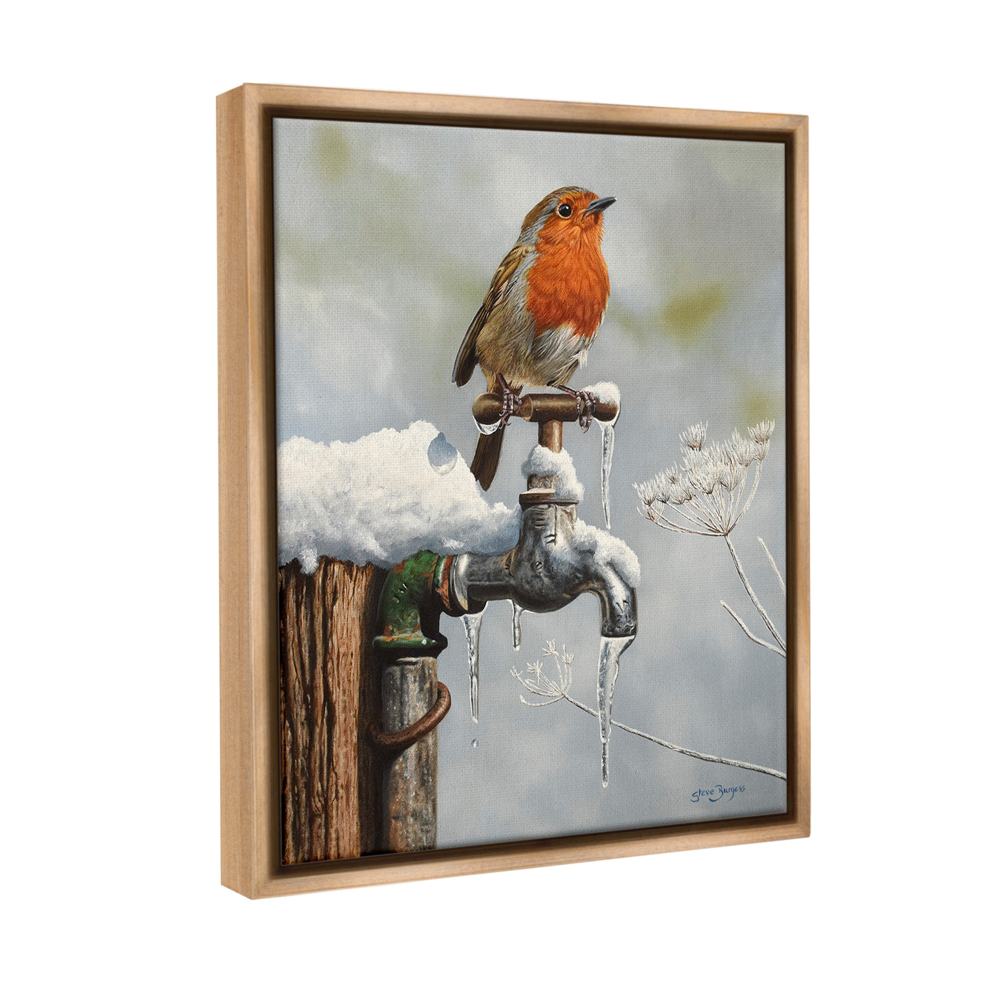 Red Barrel Studio® " Robin Bird And Winter Scene " by Steve Burgess on ...