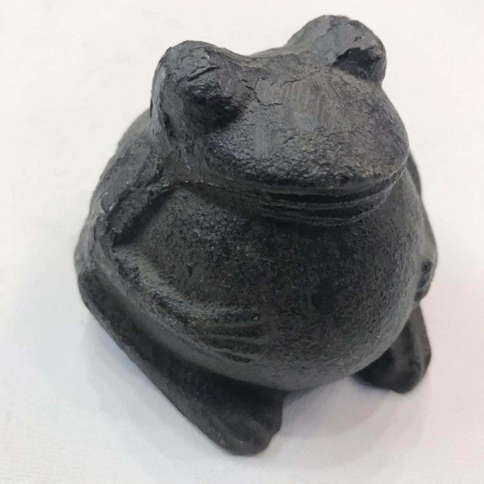 Winston Porter Cast Iron Frog Figurine - Wayfair Canada