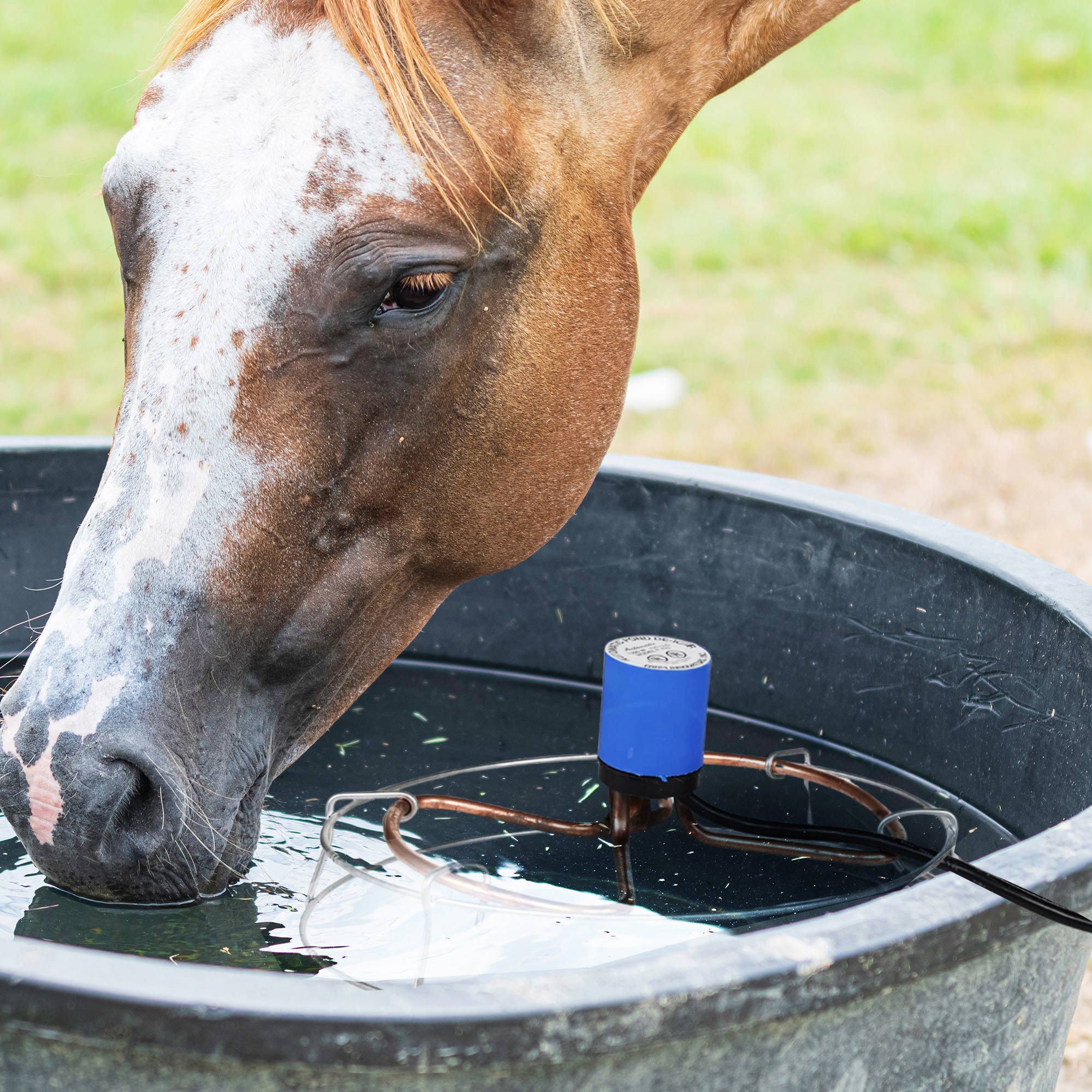 Farm Innovators H-429 1500 Watt Cast Aluminum Submergible Water Deicer (8 Pack) | Wayfair