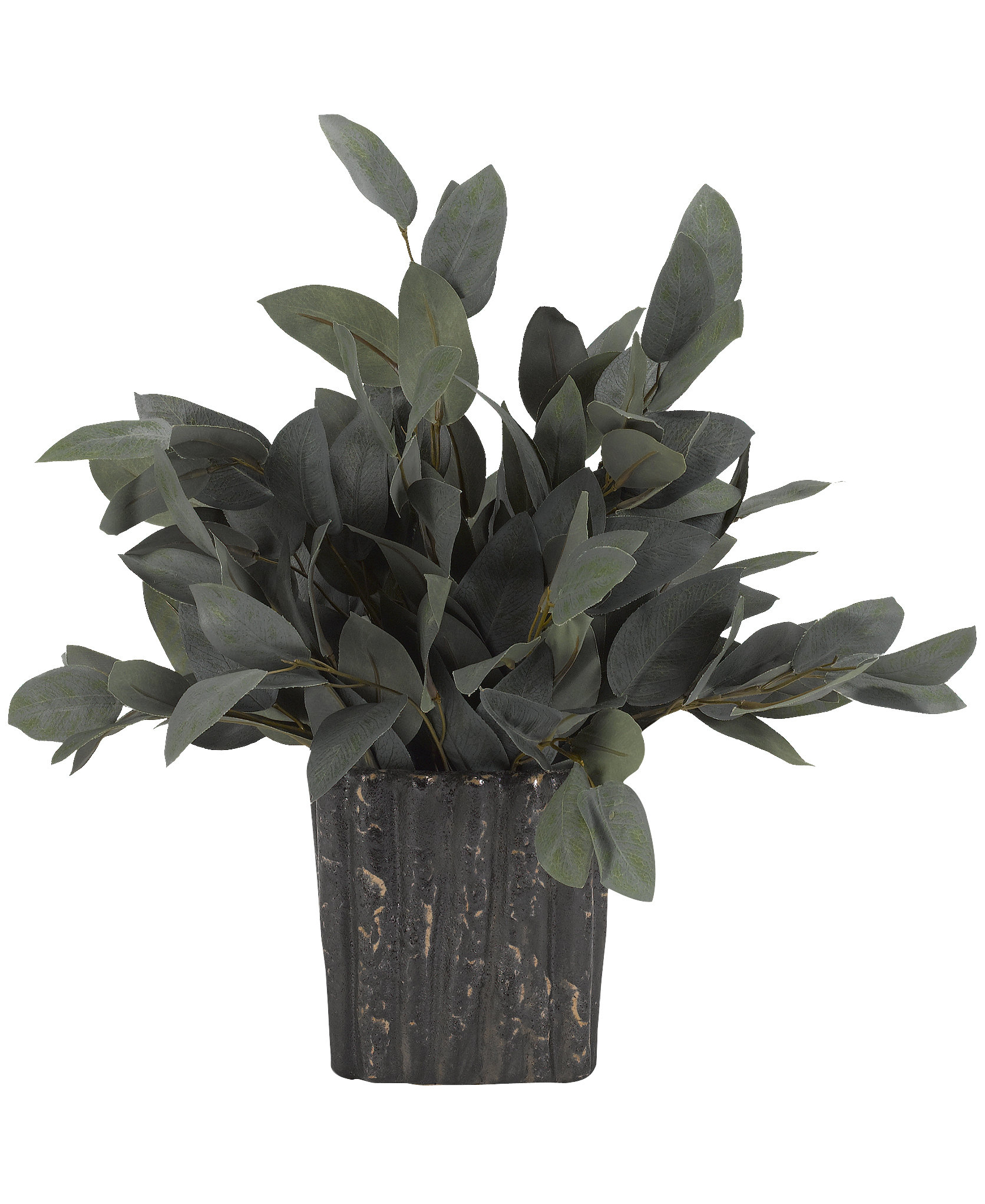 Millwood Pines Eucalyptus Plant in Ceramic Planter | Wayfair