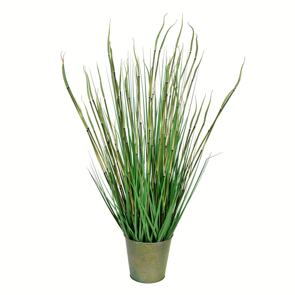 Primrue 34" Green Reed Grass In Iron Pot - Wayfair Canada