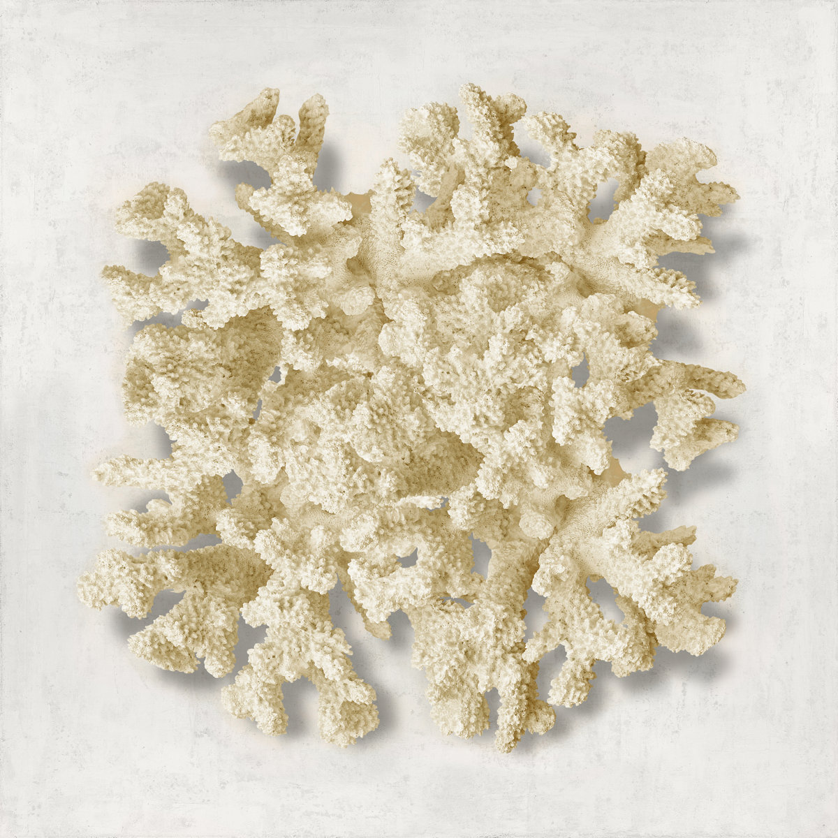House of Hampton Coral Cream II | Wayfair.co.uk
