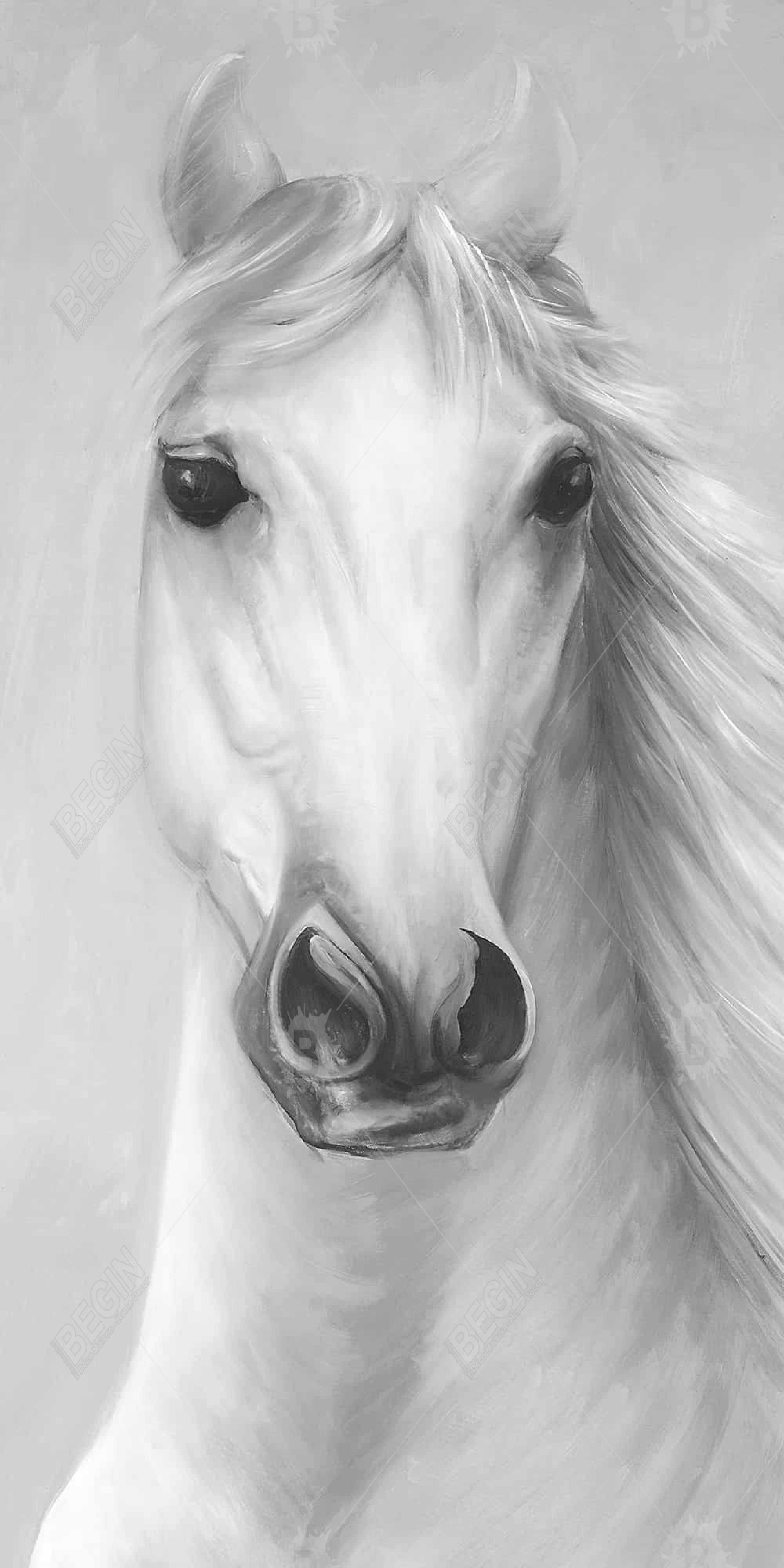 Begin Edition International Inc. Monochrome mighty white horse - 15.75 ...