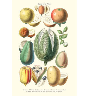 Buyenlarge Fruits and Nuts by William Rhind - Graphic Art Print | Wayfair