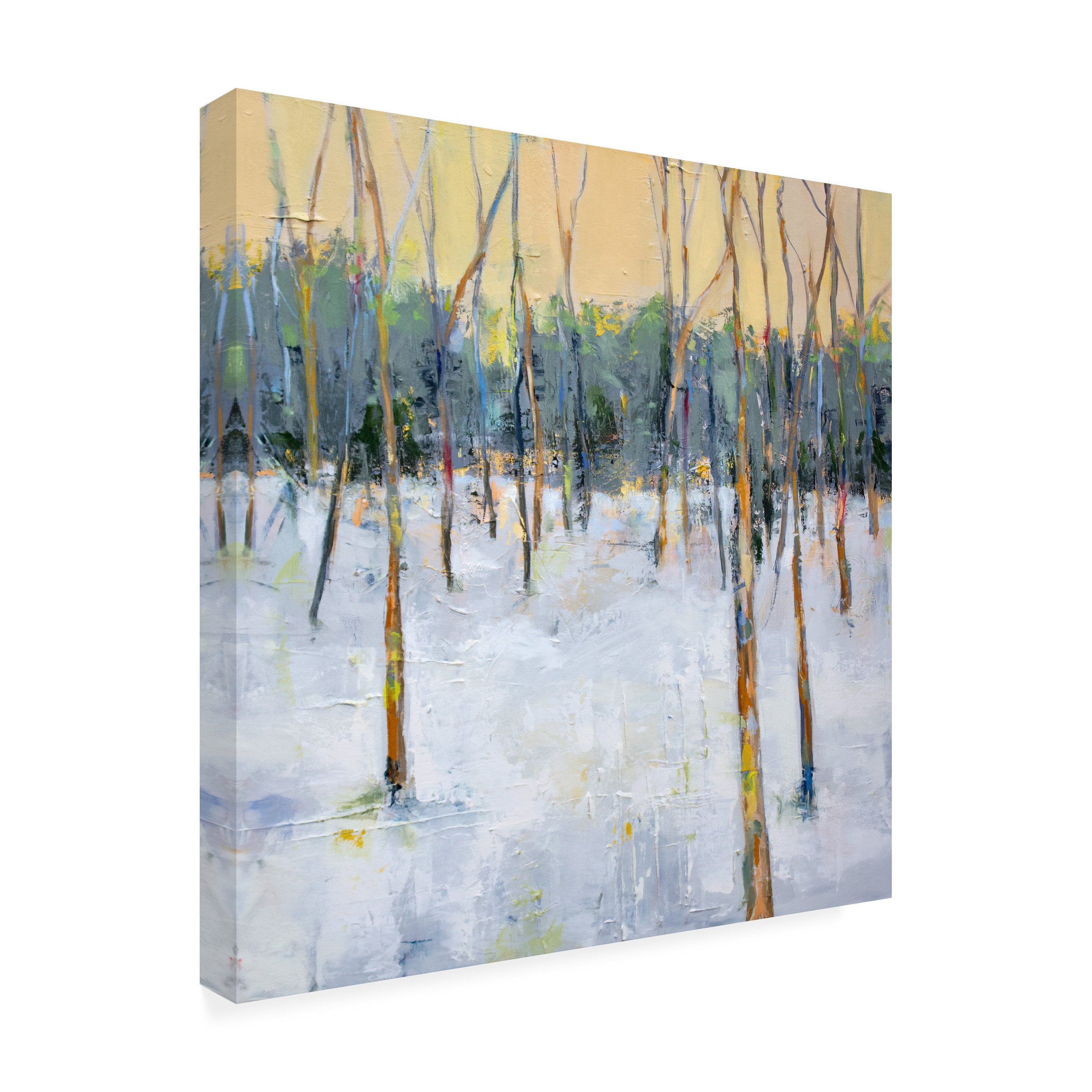 Millwood Pines Sally Hootnick Forest Canvas Art - Wayfair Canada