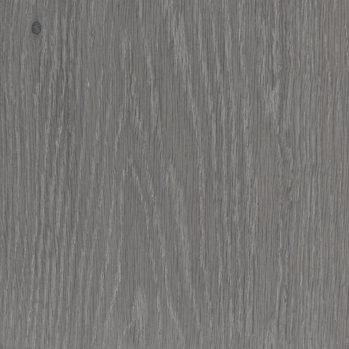 Jamie Beckwith Collection Hive Singular Tile | Wayfair