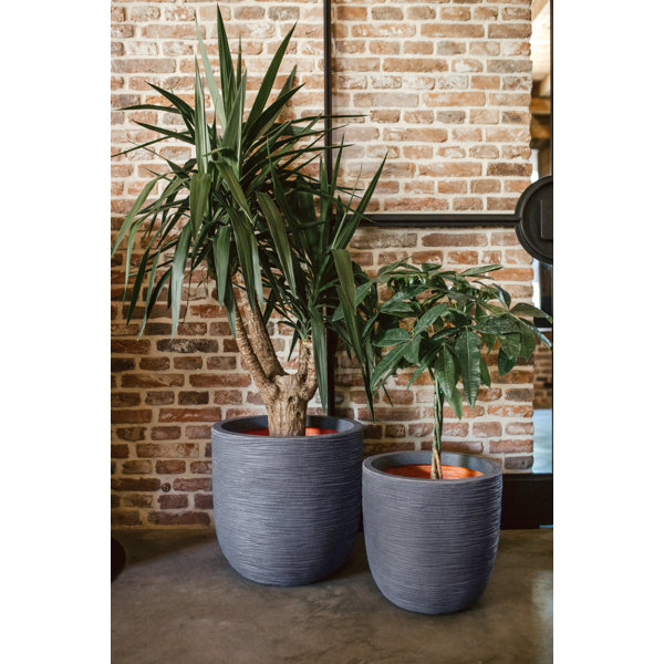 Capi Pot Feet | Wayfair.co.uk