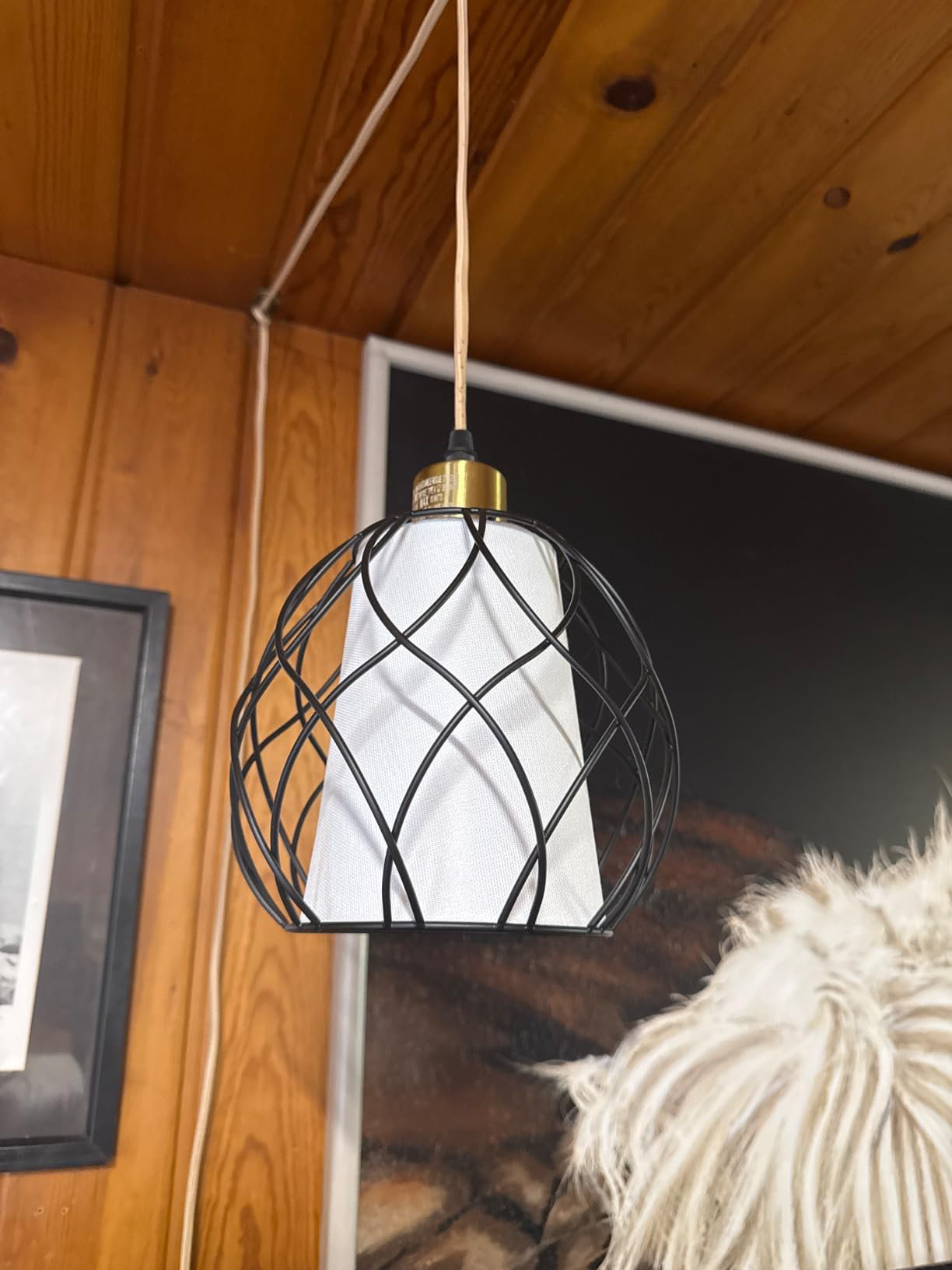 Orren Ellis Black Hanging Lamps Plug into Wall Outlet with Dimmable ...