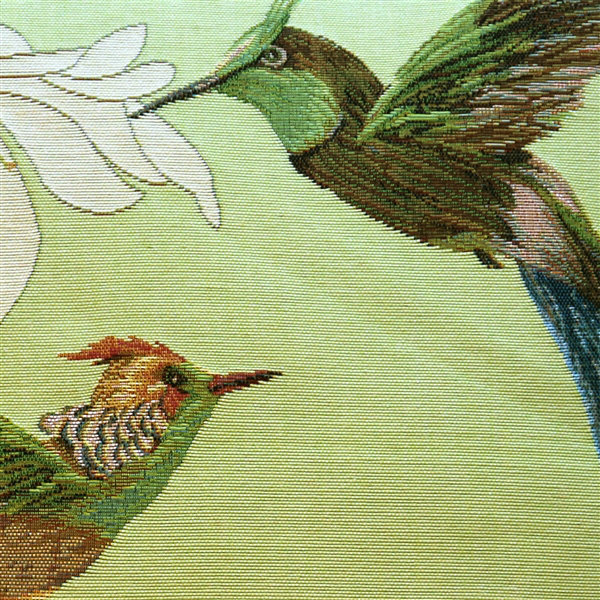 August Grove® Doyle Hummingbirds Throw Pillow | Wayfair