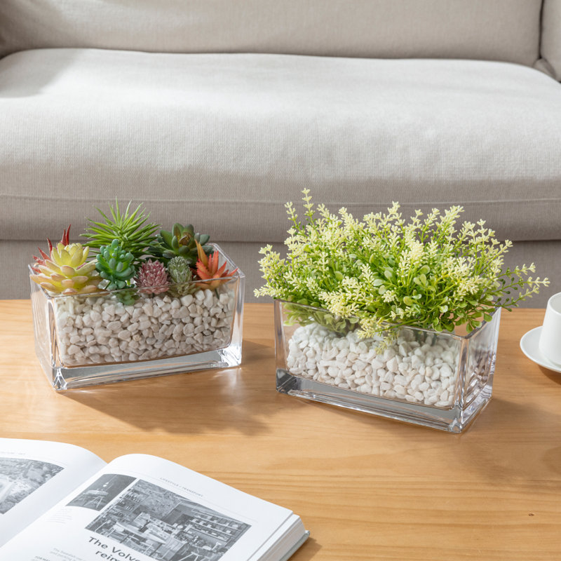 Rebrilliant Indoor Table Glass Flower Pot Planters | Wayfair