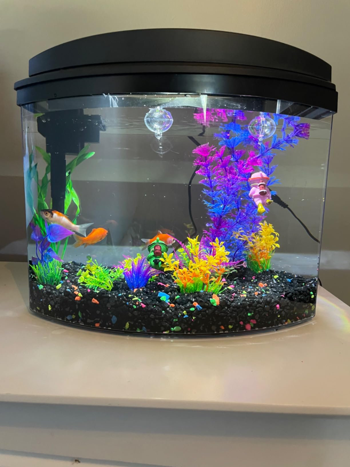 Archie & Oscar™ Small Aquarium Fish Tank Kit with SmartClean Technology ...