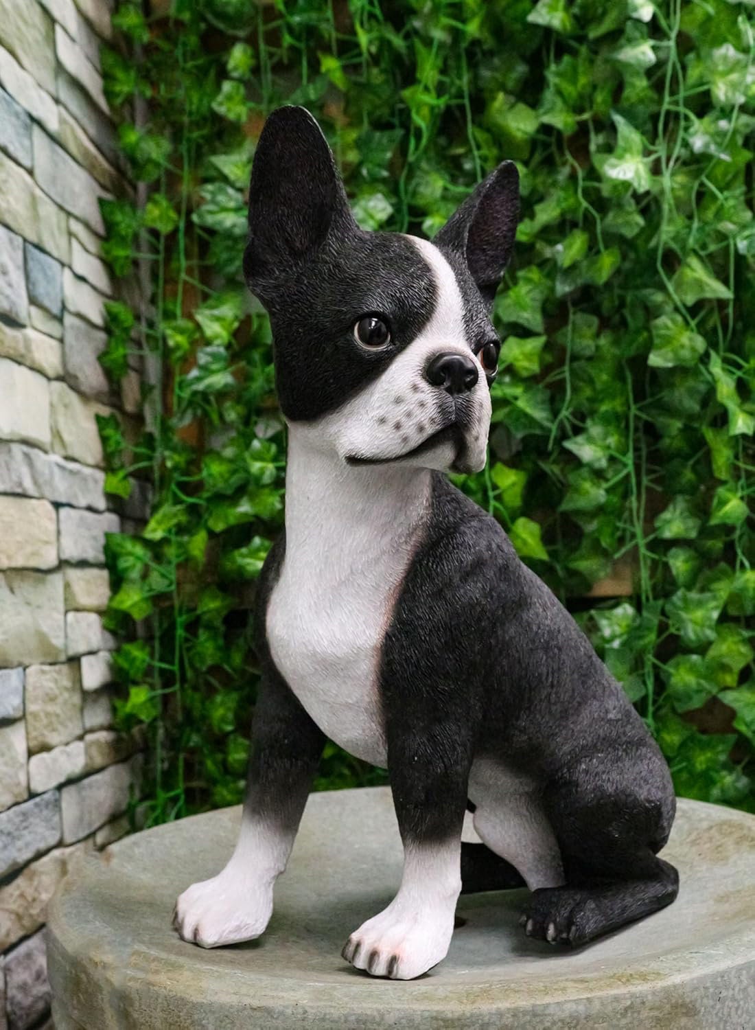 Alcott Hill Large Realistic Tuxedo Boston Terrier Statue 15"Tall Animal ...