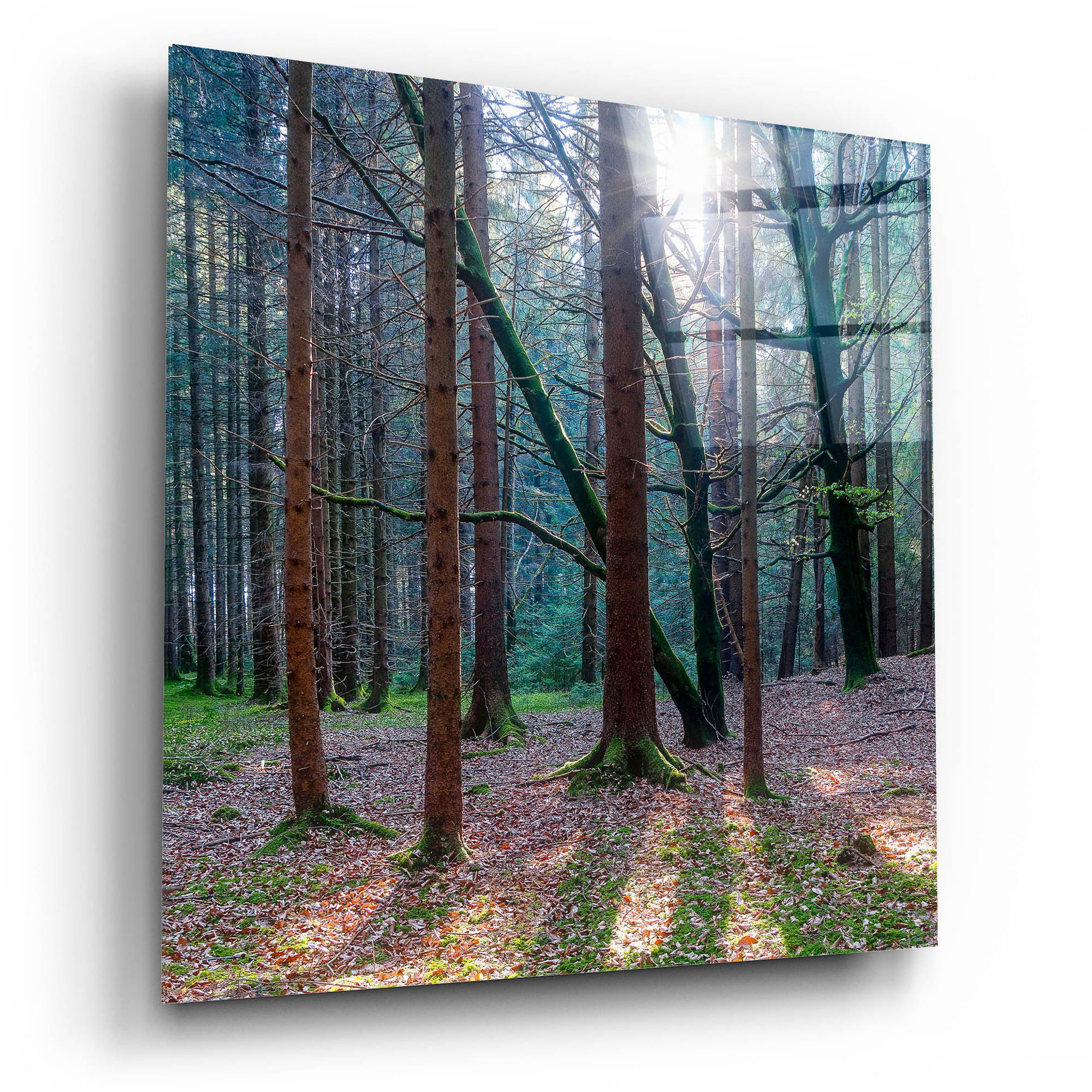 Millwood Pines Azuolas Lean On Me On Plastic/Acrylic by Anne ...