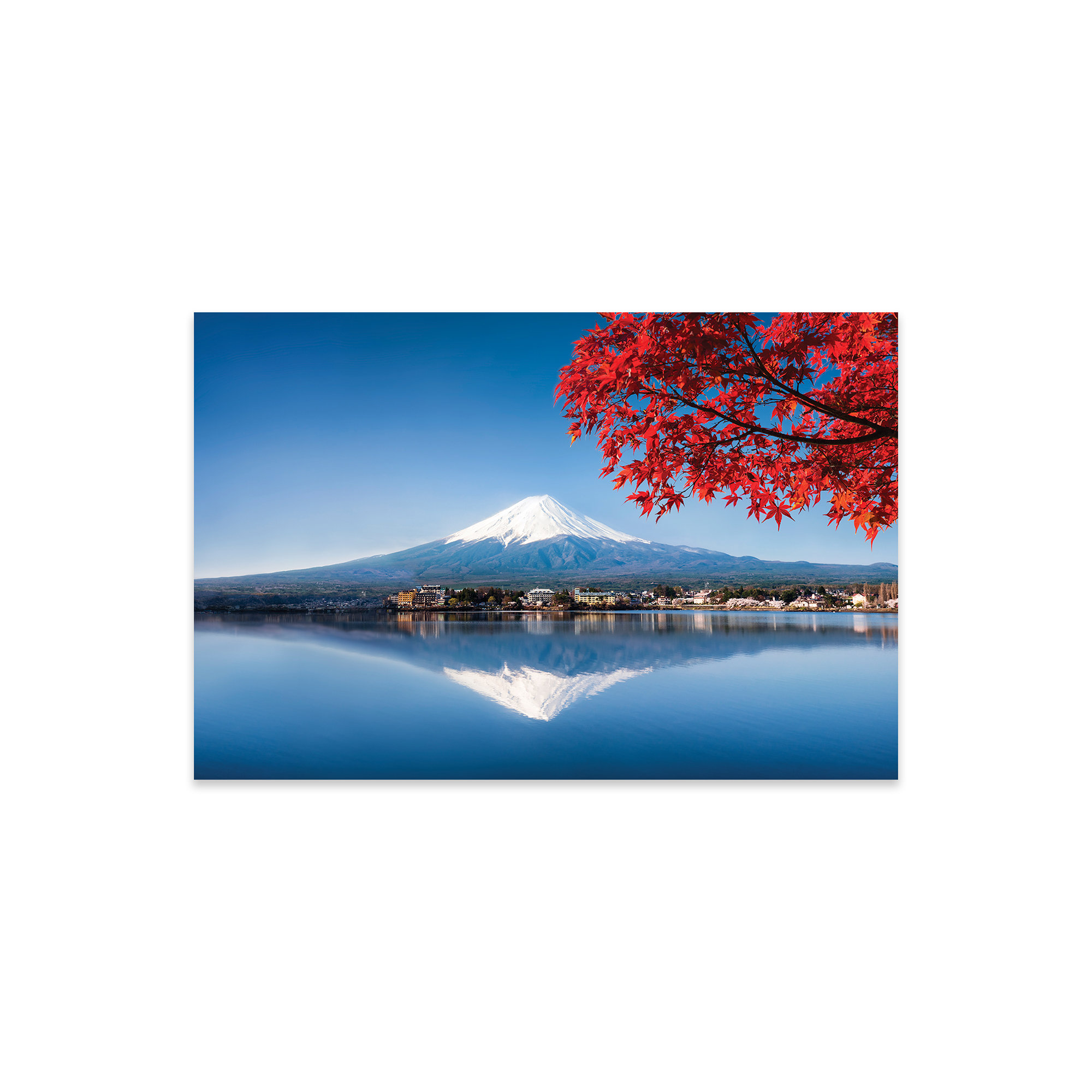 Millwood Pines Arkle Mount Fuji at Lake Kawaguchiko in Autumn ...