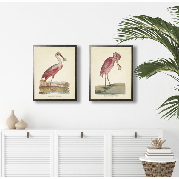 Dovecove " Vintage Spoonbill " on Paper - Wayfair Canada