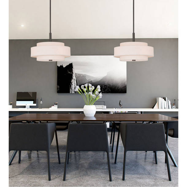 Brayden Studio® Thomasina 1 - Light Black Single Pendant | Wayfair