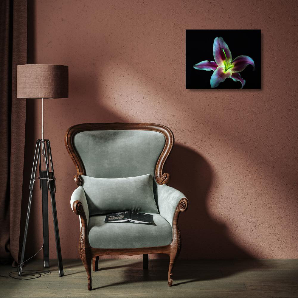 Red Barrel Studio® Haddad, Sheila Gallery Wrapped Canvas Art: A ...