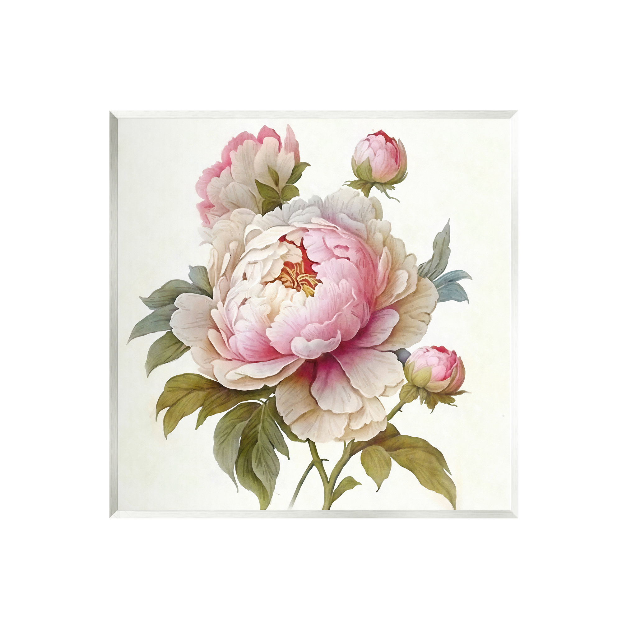 Stupell Industries Au-772-Wood " Detailed Pink Peony Flower Buds " by ...