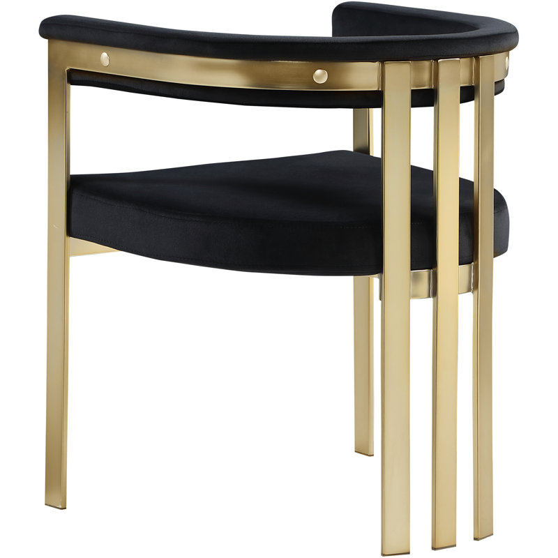 Willa Arlo Interiors Somer Velvet Ladder Back Arm Chair & Reviews | Wayfair